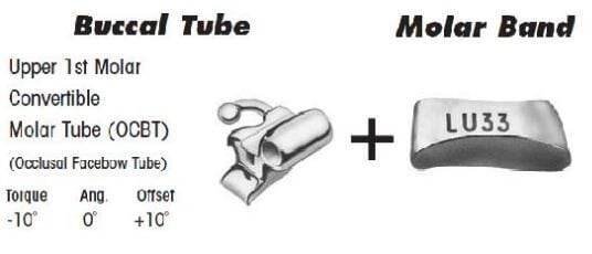 1st Molar Bands Assembly with Upper OCBT Buccal Tube – Prestige Dental ...
