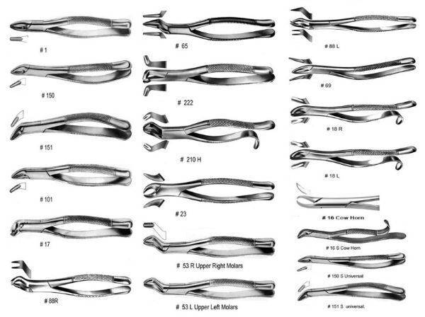 Extracting Forceps American Pattern – Economy – Prestige Dental Products