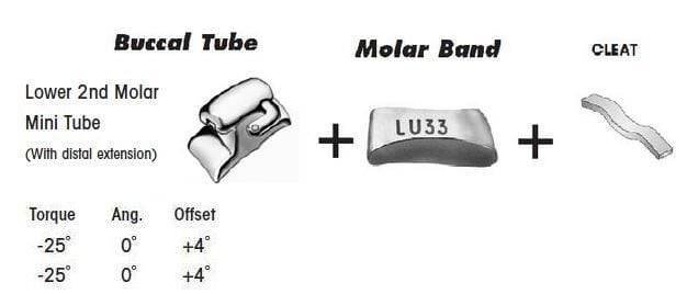 2nd Molar Band Assembly with Lower Single Buccal Tube and Cleat ...