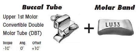 1st Molar Bands Assembly with Upper DBT Buccal Tube – Prestige Dental ...